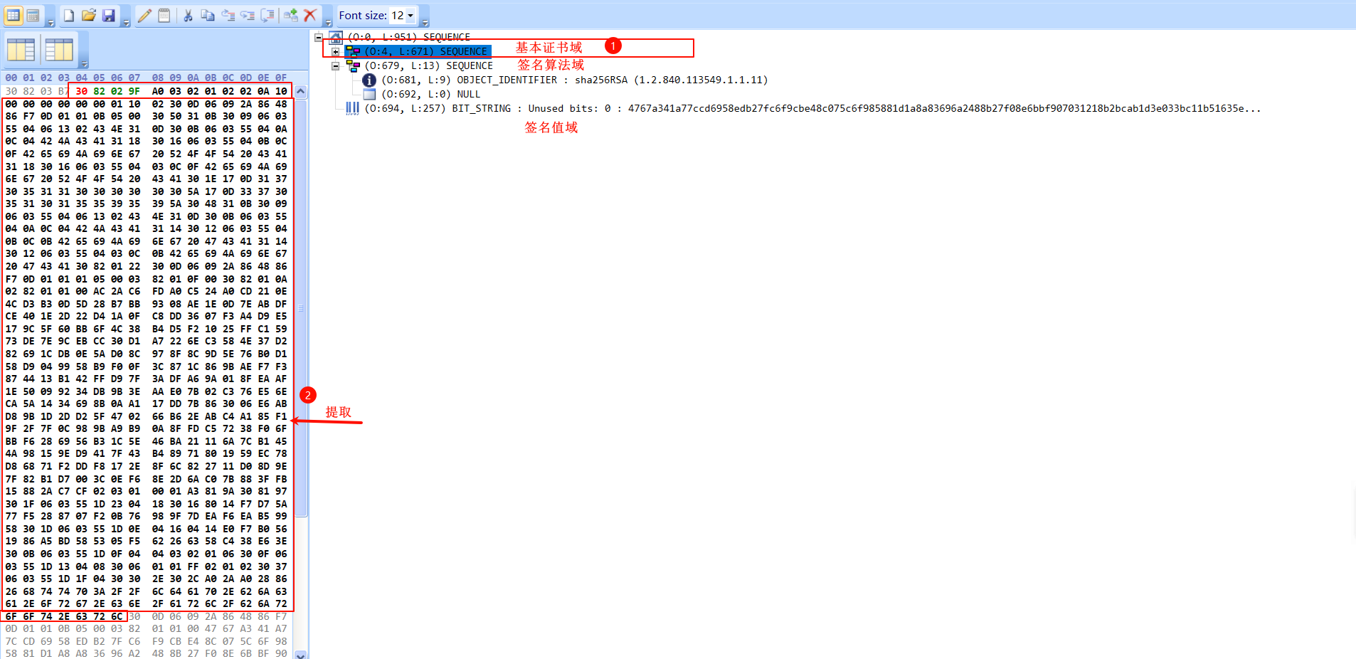 基本证书域提取.png 基本证书域提取.png